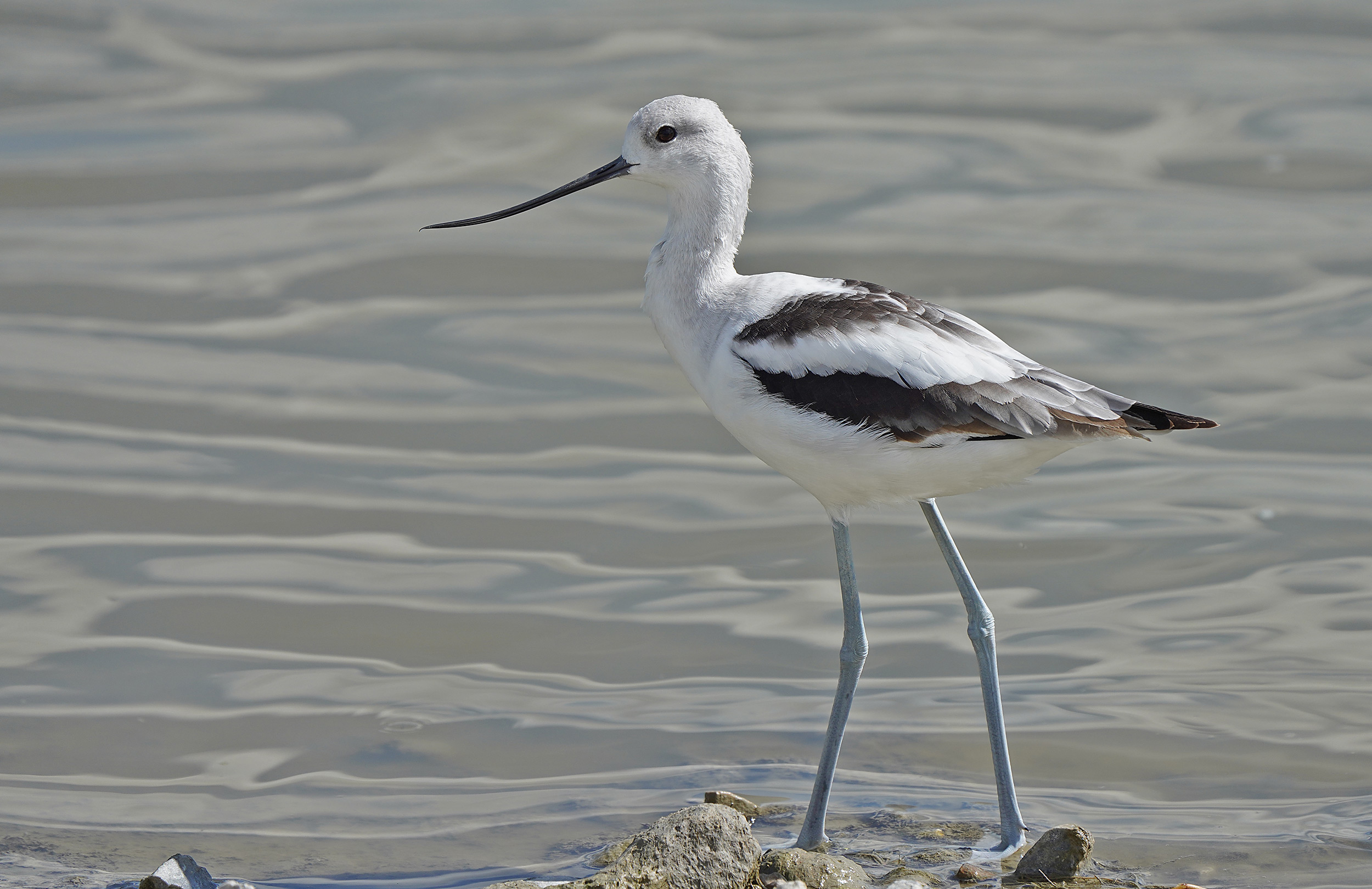 Home [www.daviscountyutah.gov]